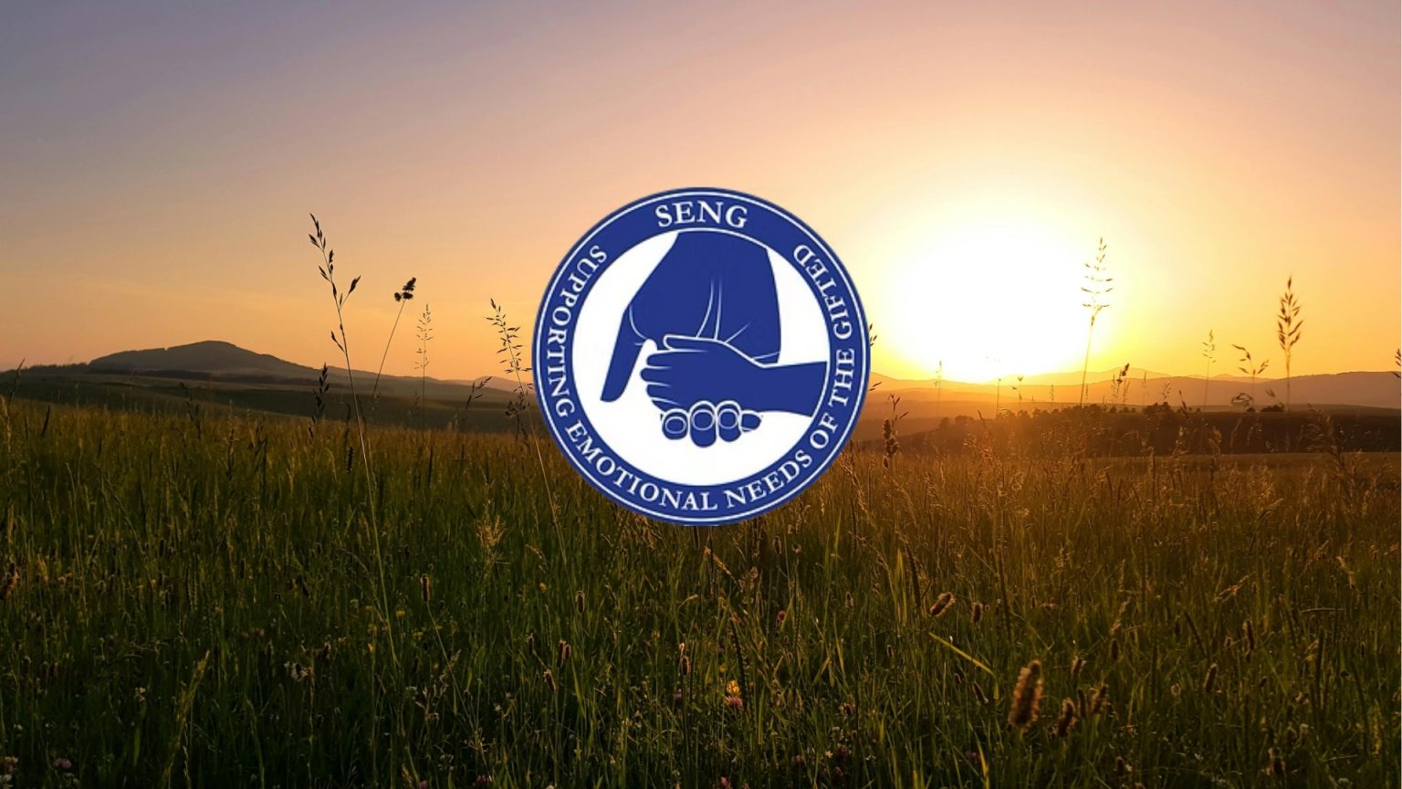 Understanding and Supporting Sensory Sensitivities in Gifted ...